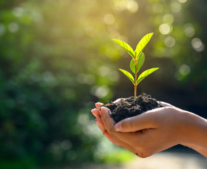 À propos – DuraMin Engineering